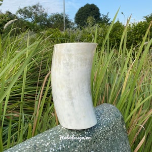 Genuine Buffalo Horn Flower Vase, Horn Decor, Home Decor , Horn Vase ...