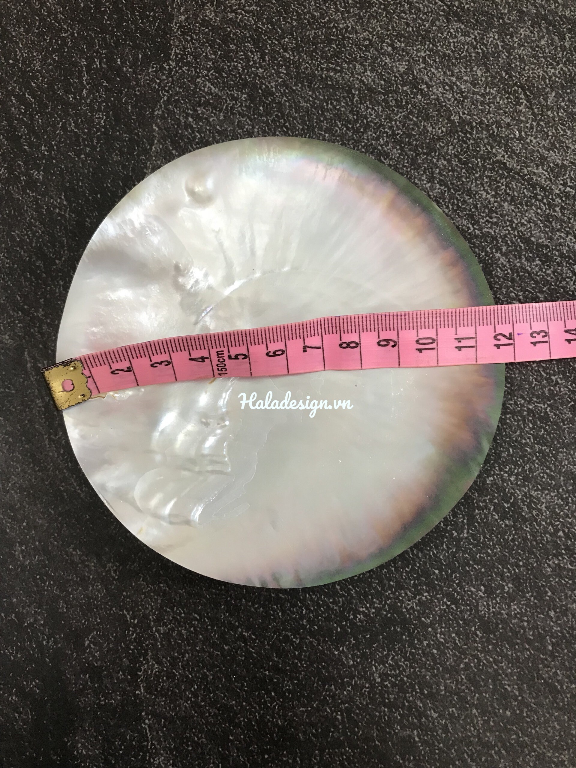 Round Shell Dish Black Mother of Pearl Dish Seashell Dish - Etsy