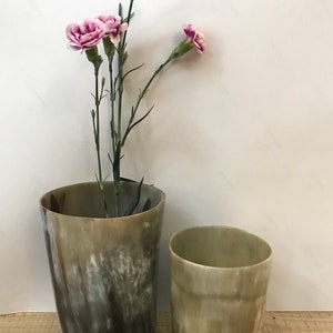 Flared Wide Mouth Natural Buffalo Horn Vase , Horn Vase , Minimalist ...
