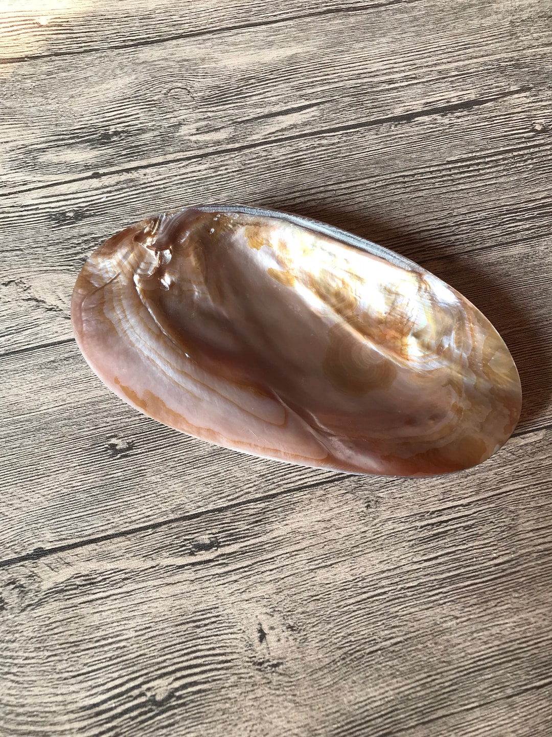 Decorative Pink Shell Dish , Mother of Pearl Dish Seashell Dish ...