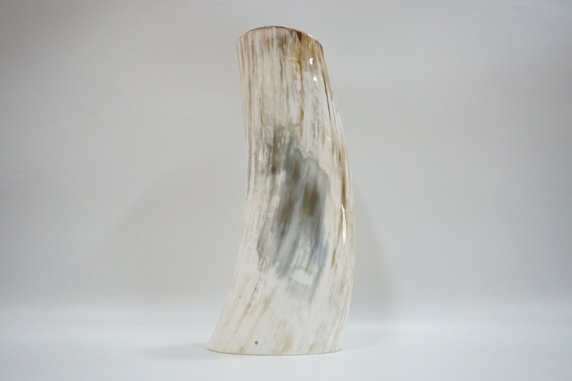 Long Natural Buffalo Horn Vase flower Vase Horn Vase - Etsy