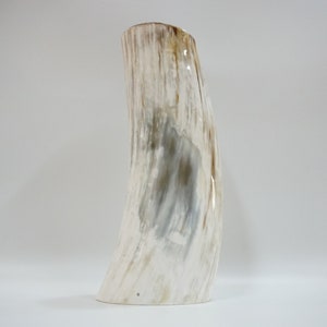 Long Natural Buffalo Horn Vase ,flower Vase, Horn Vase , Minimalist ...