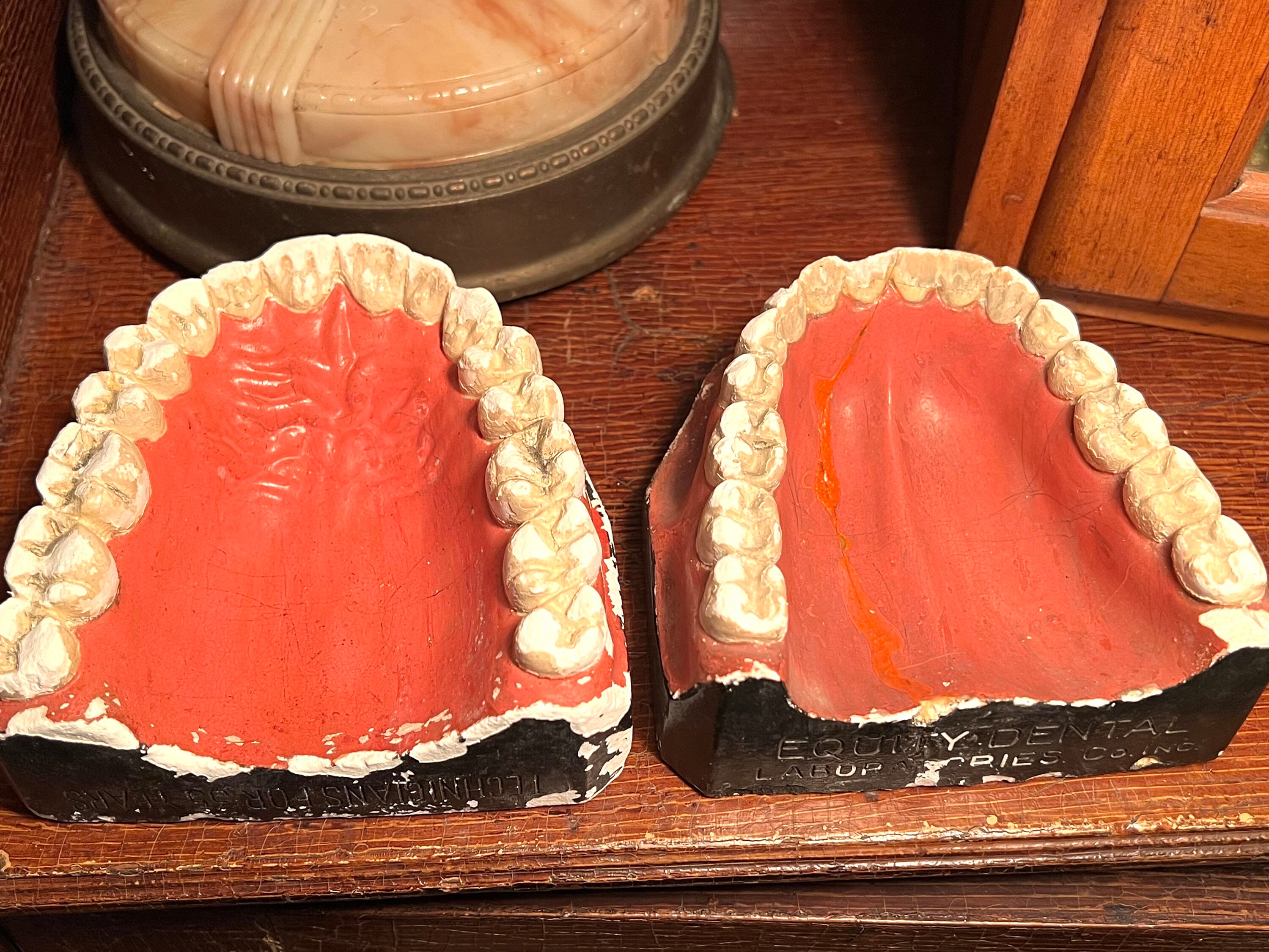 Antique Plaster Orthodontal Dental Model Dentist Teaching Mold Vintage ...