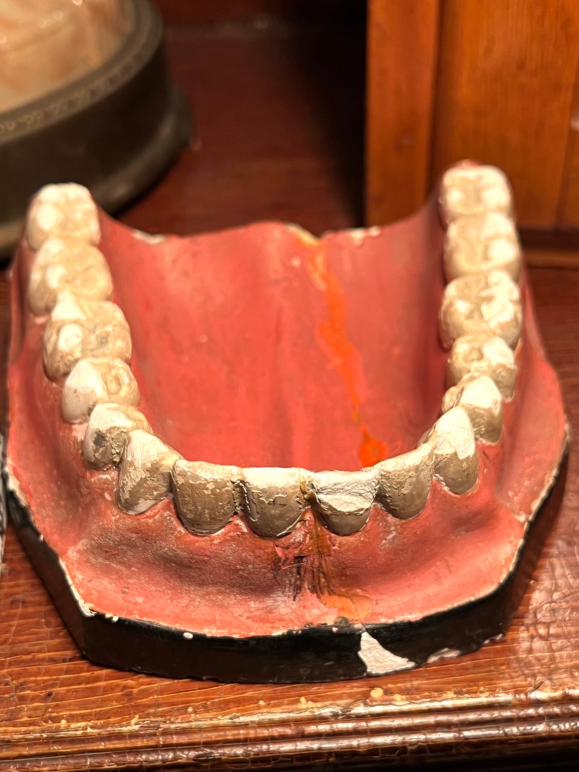 Antique Plaster Orthodontal Dental Model - Dentist Teaching Mold ...