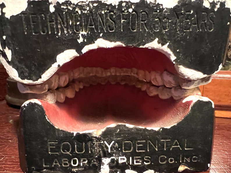Antique Plaster Orthodontal Dental Model - Dentist Teaching Mold ...
