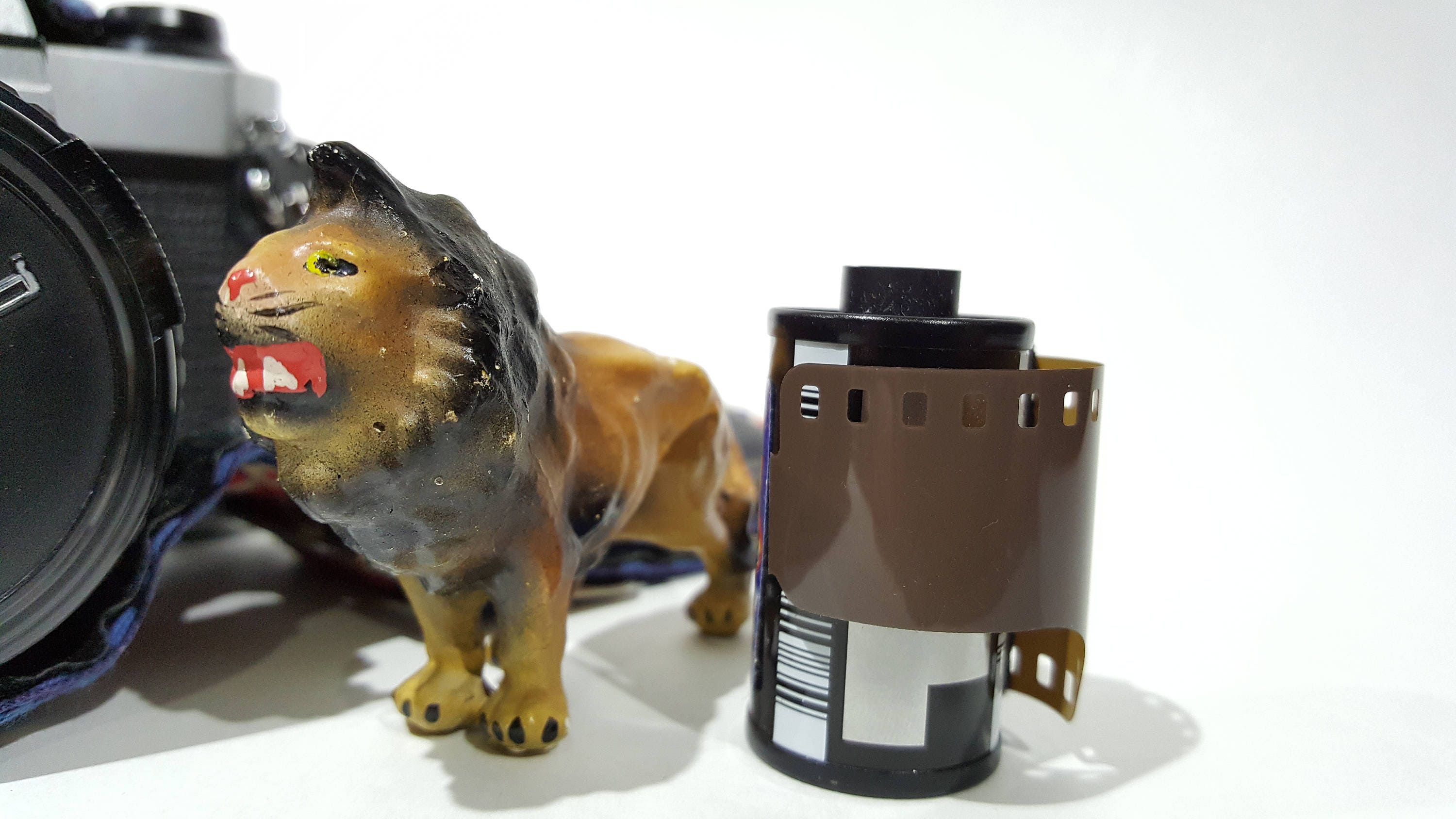 Antique Pre-war Japan Elastolin Lineol Composition Painted Lion ...