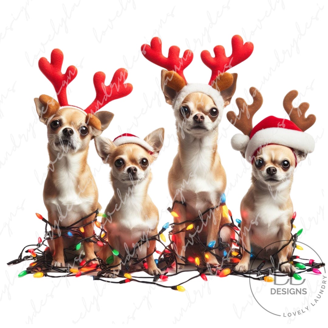 Chihuahua PNG, Dog Png Cricut, Christmas Clipart, Digital Download PNG ...