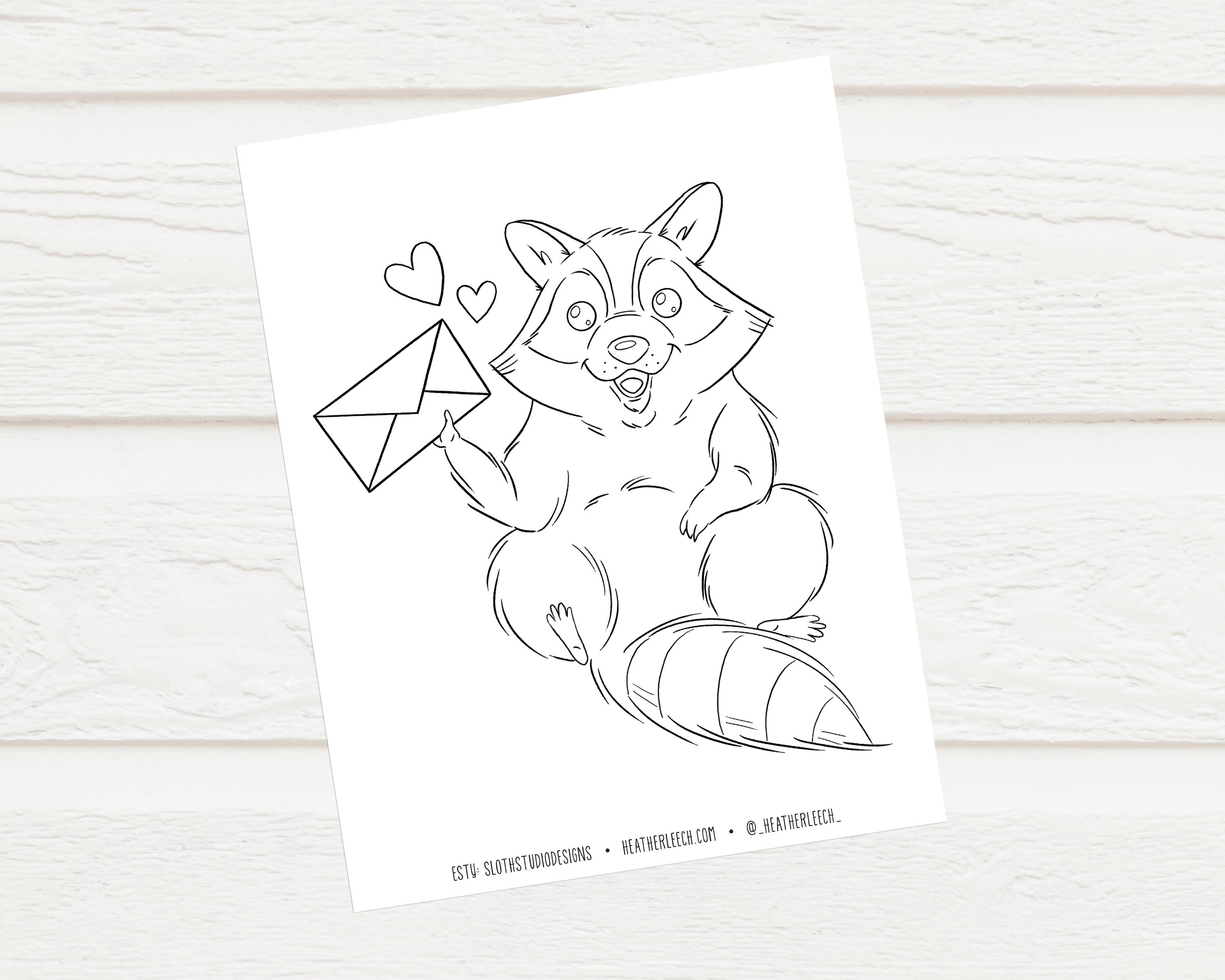 Raccoon Color Sheet Digital Download | Etsy