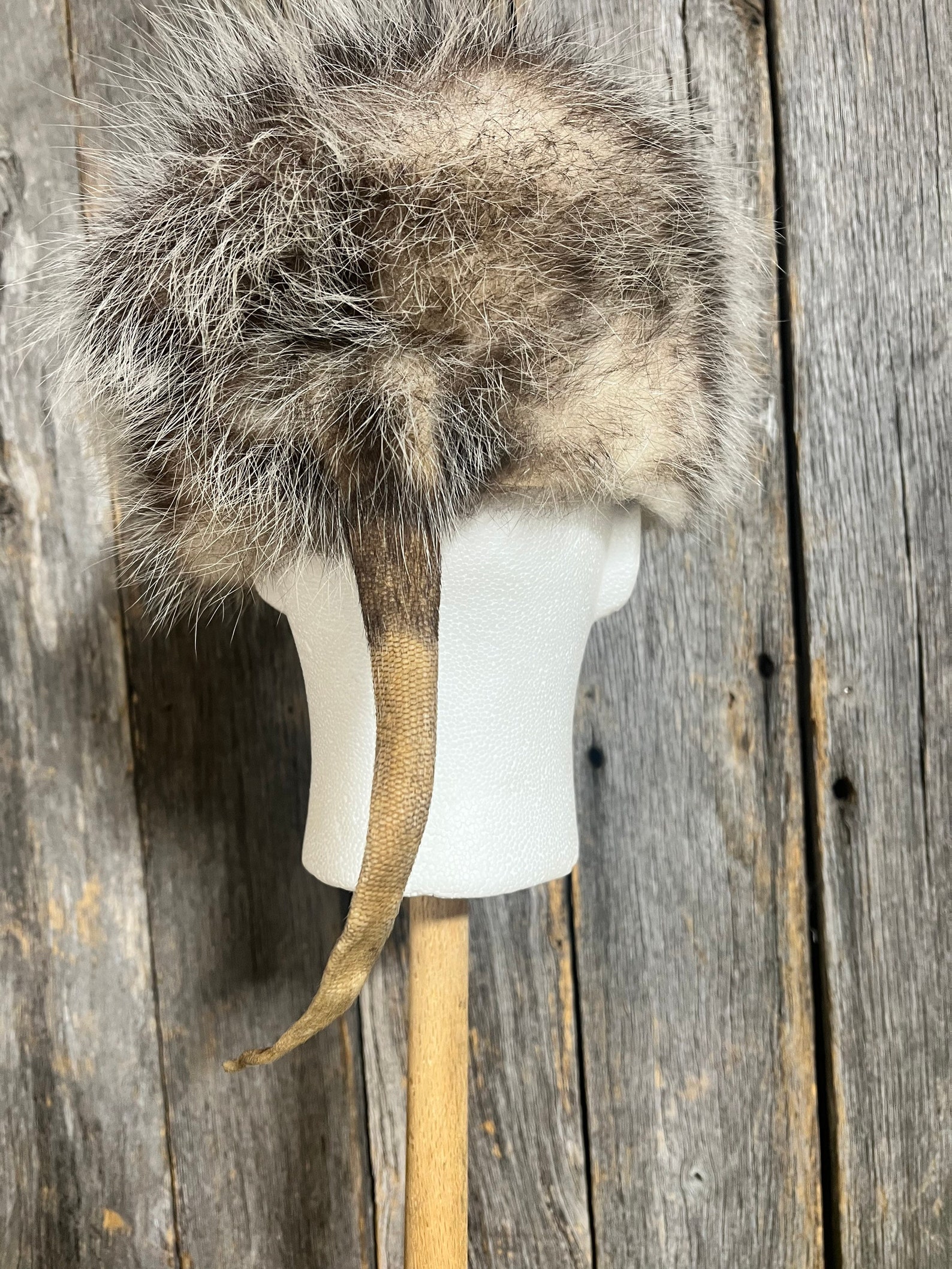 Opossum Hat Possum Hat Daniel Boon Hat - Etsy