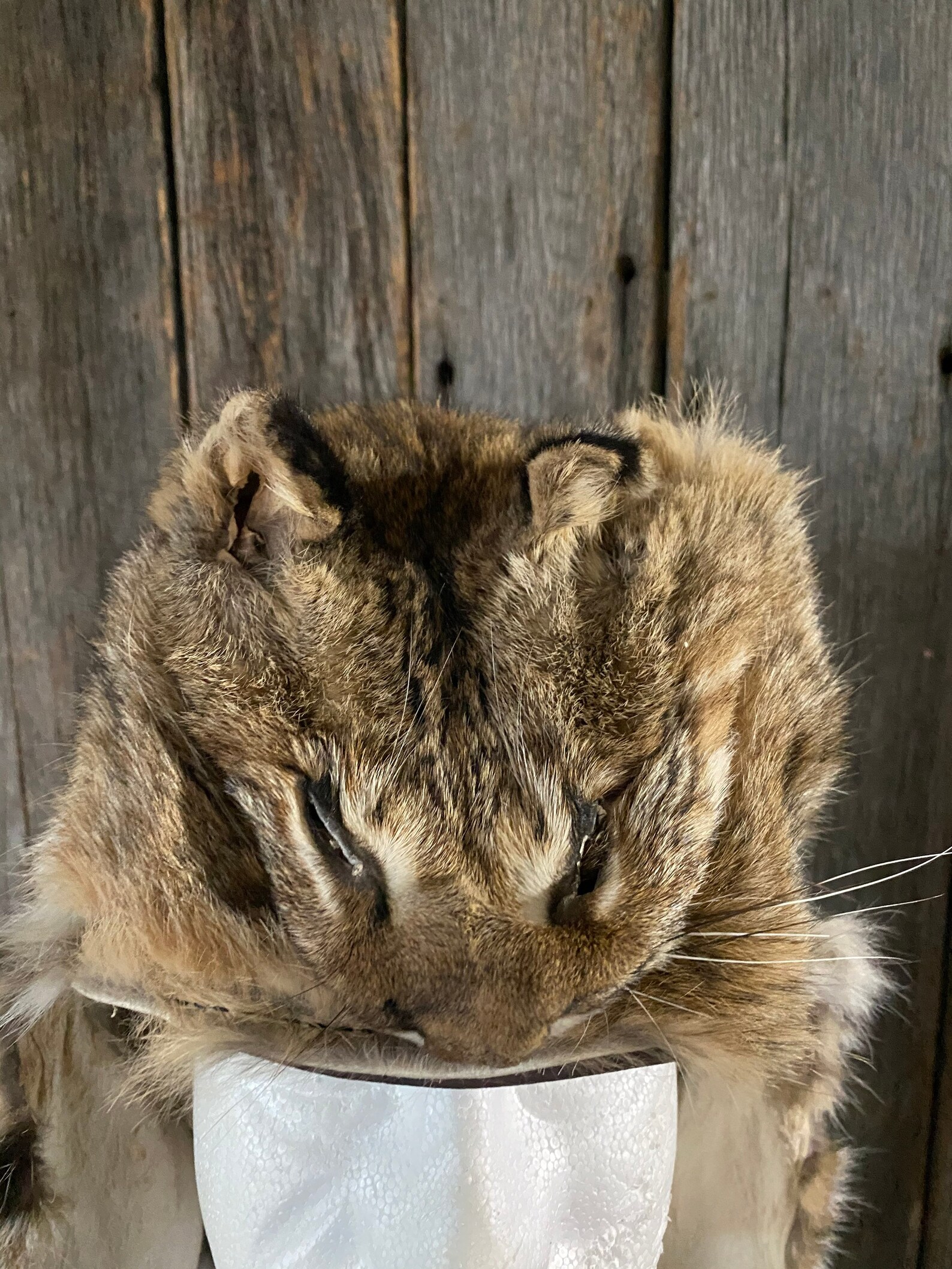 Kentucky Bobcat Mountain Man Hat Kentucky Wildcat Hat Bobcat - Etsy