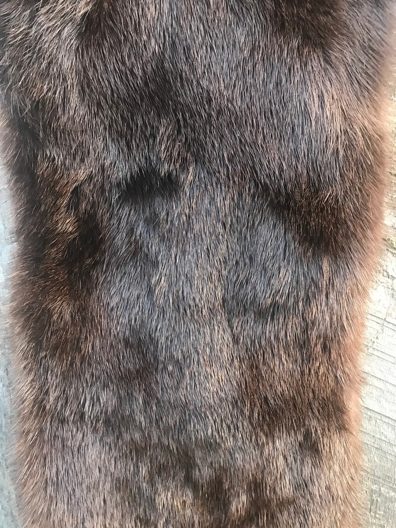 River Otter Fur River Otter Otter Pelt Kentucky Otter XXL - Etsy