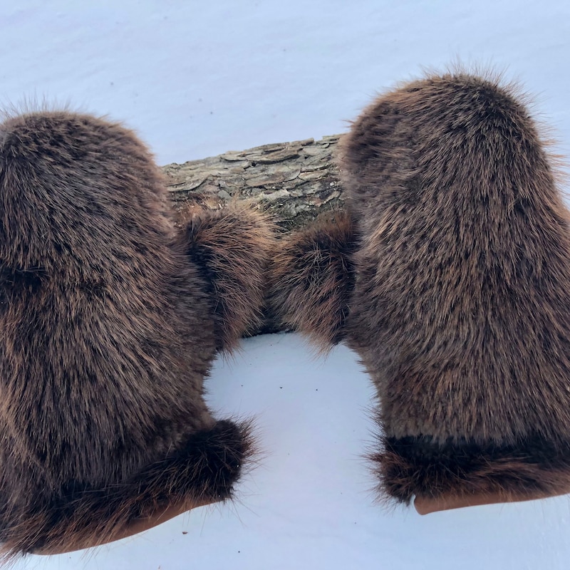 Beaver Pelt - Etsy