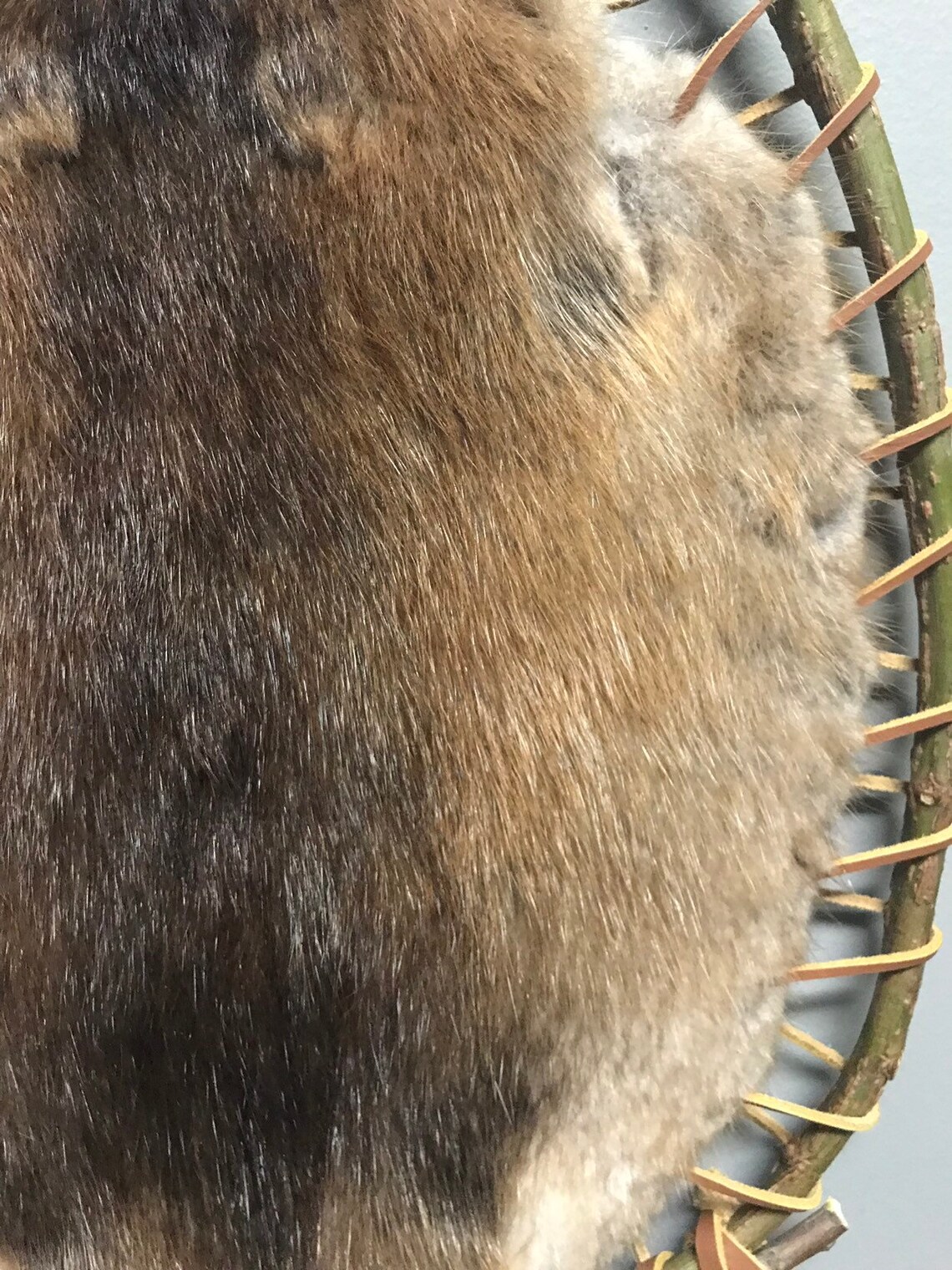 Rustic Wall Decor Cabin Decor Hooped Beaver Wall Hanger - Etsy