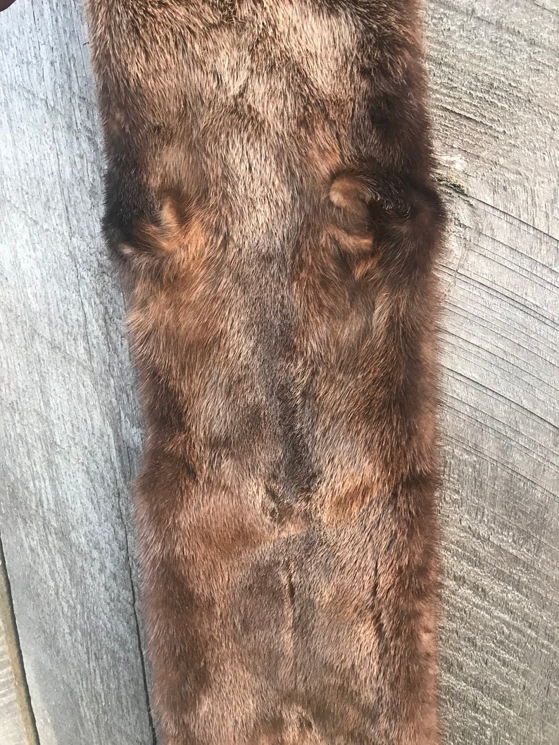 River Otter Fur River Otter Otter Pelt Kentucky Otter XXL - Etsy