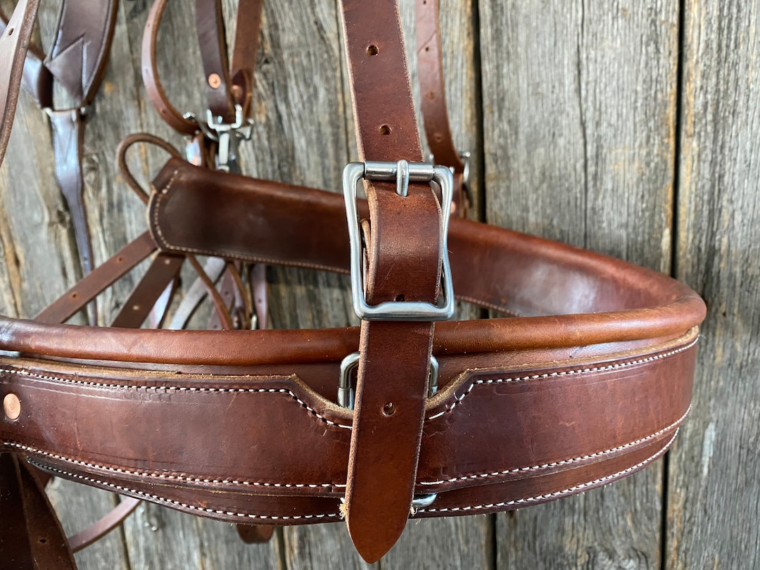 Handmade Heavy Duty Mule Brichen, Grand Canyon Mule Tack - Etsy