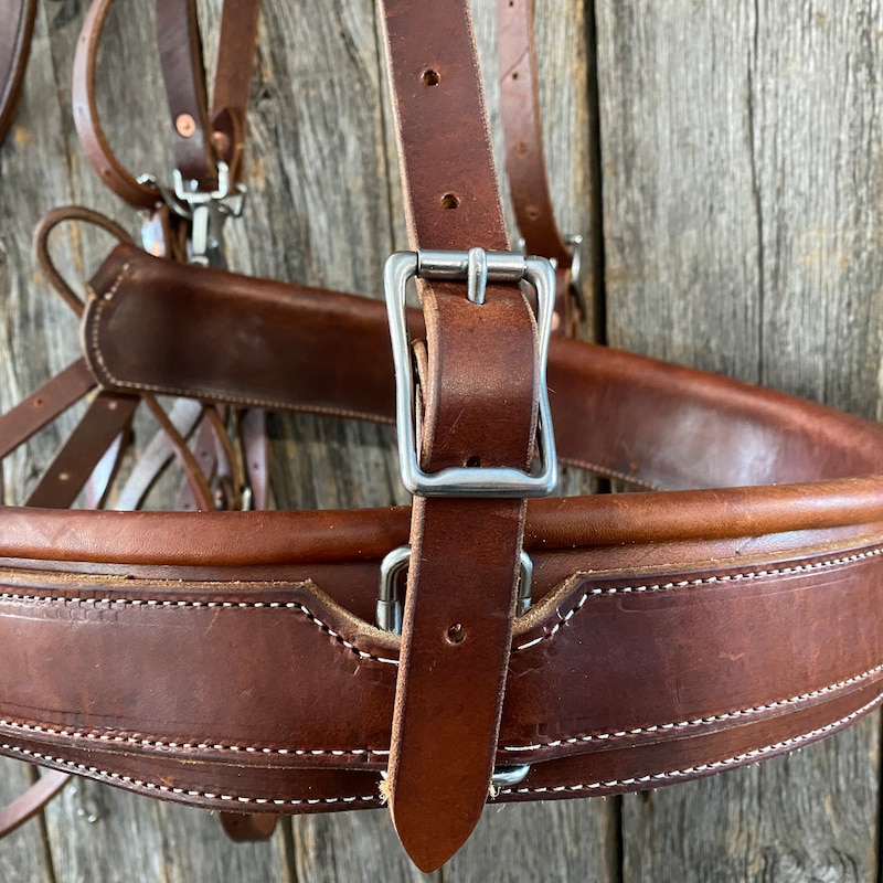 Mule Tack and Saddle - Etsy