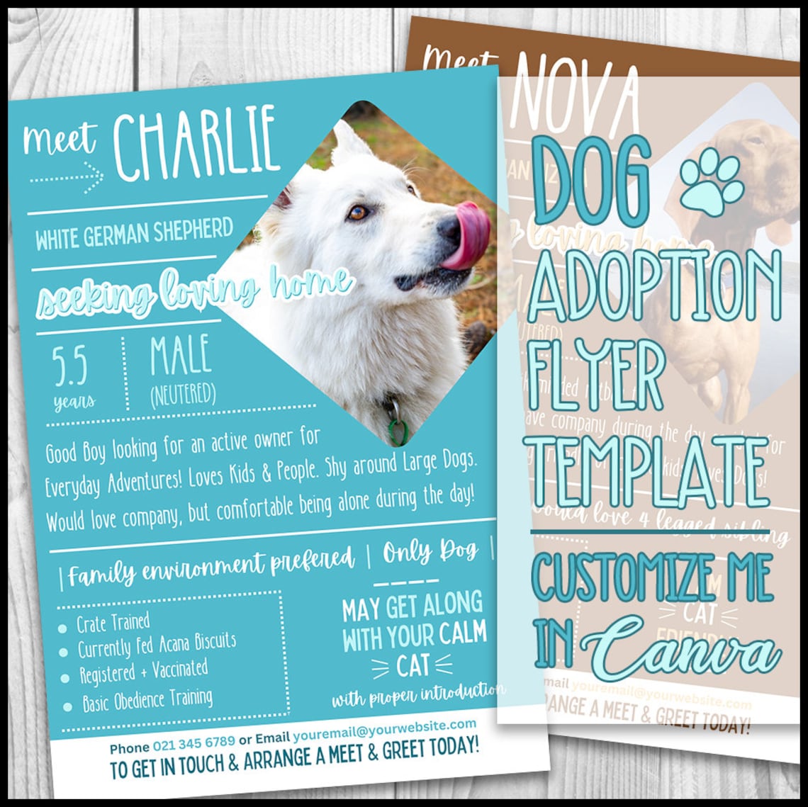 Dog Adoption Flyer Template, Customizable DIY Dog Canva Template - Etsy