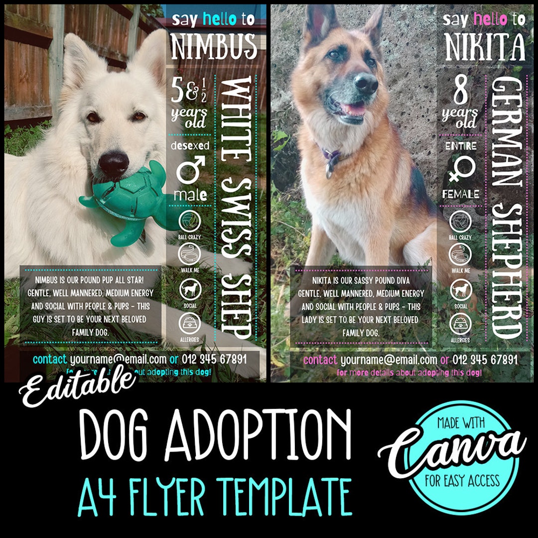 Dog Adoption Flyer Template, Customizable DIY Dog Canva Template - Etsy ...