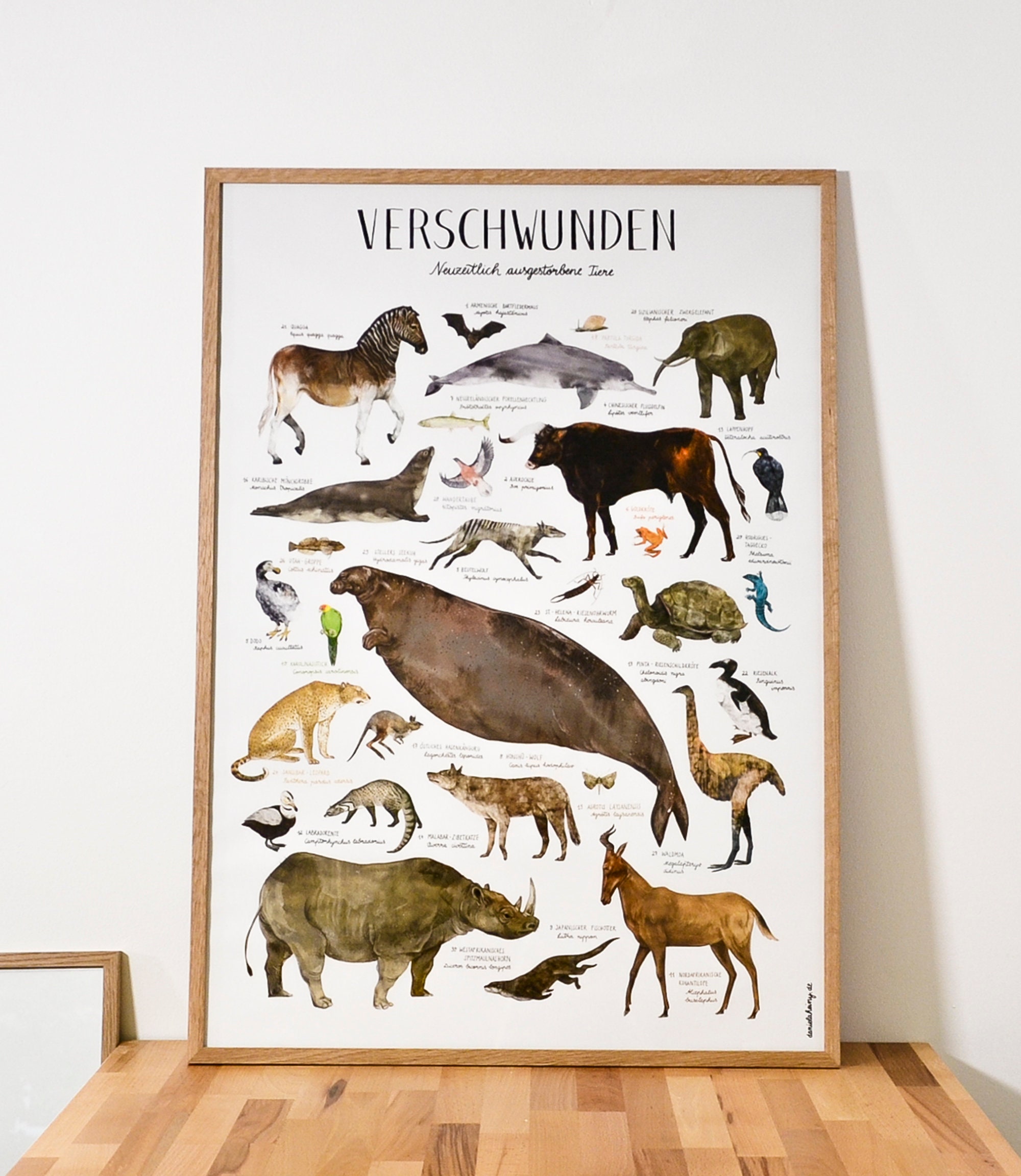 Extinct Animals Poster
