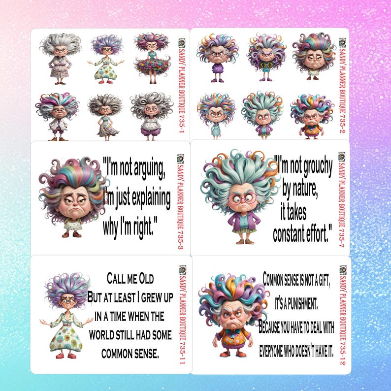 Grumpy Old Lady Planner Stickers: Laptop Stickers 735-1 to 735-14 - Etsy