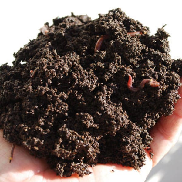 Vermicompost - Etsy
