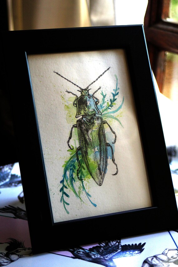 Drawing & Illustration Ink & Watercolor Framed Original Art Green ...