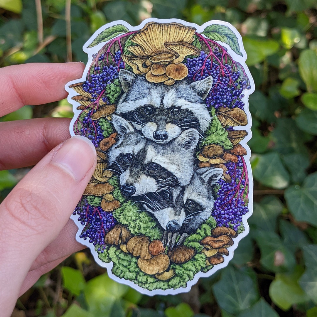 Raccoons Sticker 2,5 X 3 Inch Animal Sticker Sticker for Laptop ...