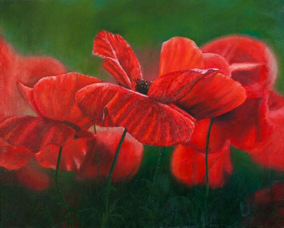 Red Poppy. Flowers. Picture. Painting. Picture. Art Gallery. - Etsy