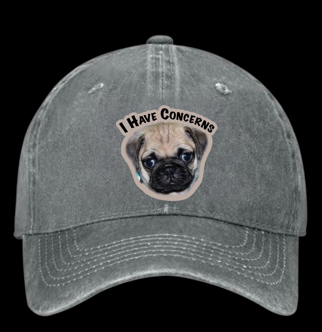 Ball Caps | I Have Concerns Pug Hat – Funny Puppy Face Hat, Dog Lover ...