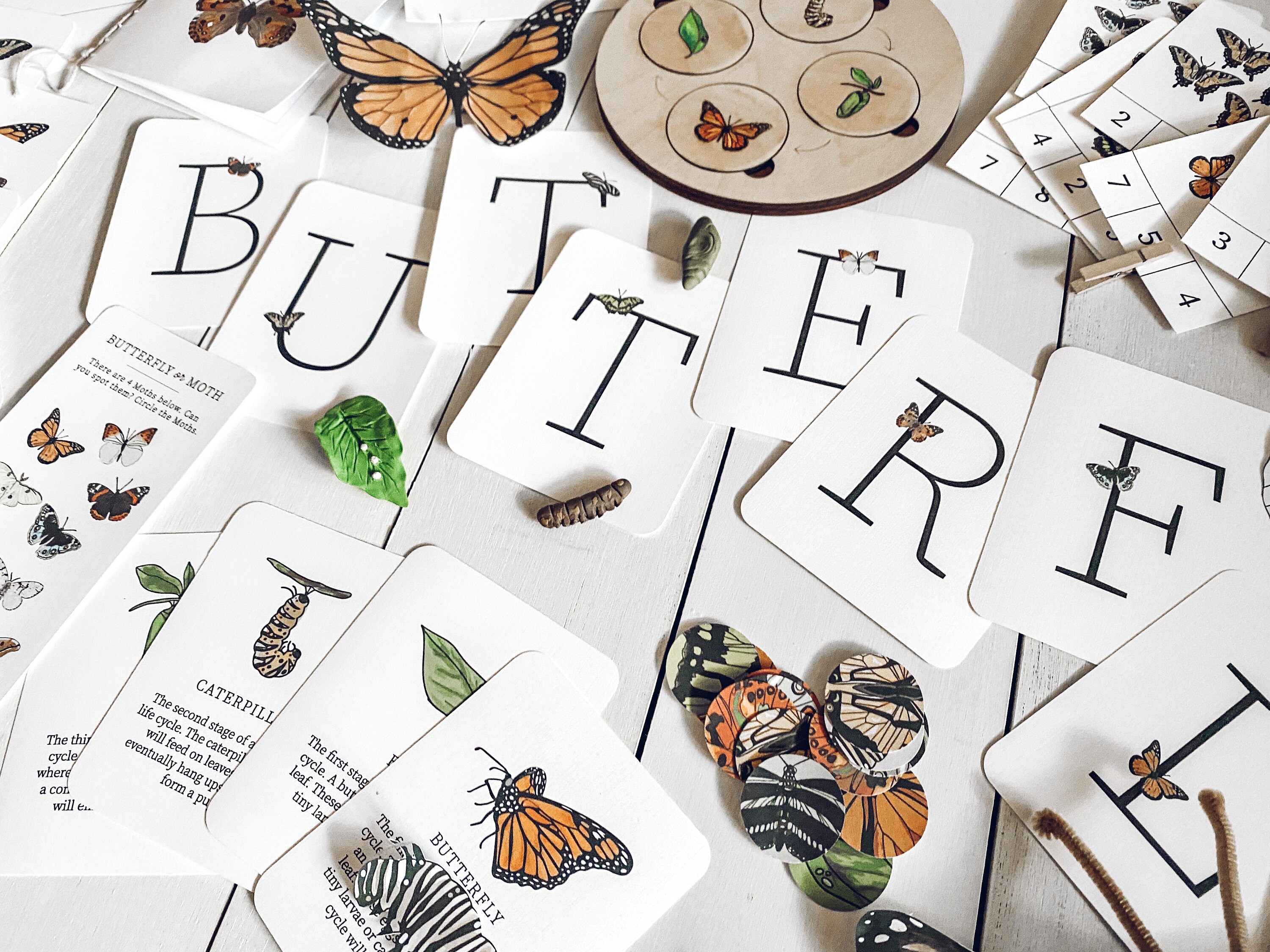 Butterfly Unit Study / Homeschool Unit Study / Kindergarten Butterfly ...