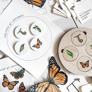 Butterfly Unit Study / Homeschool Unit Study / Kindergarten Butterfly ...