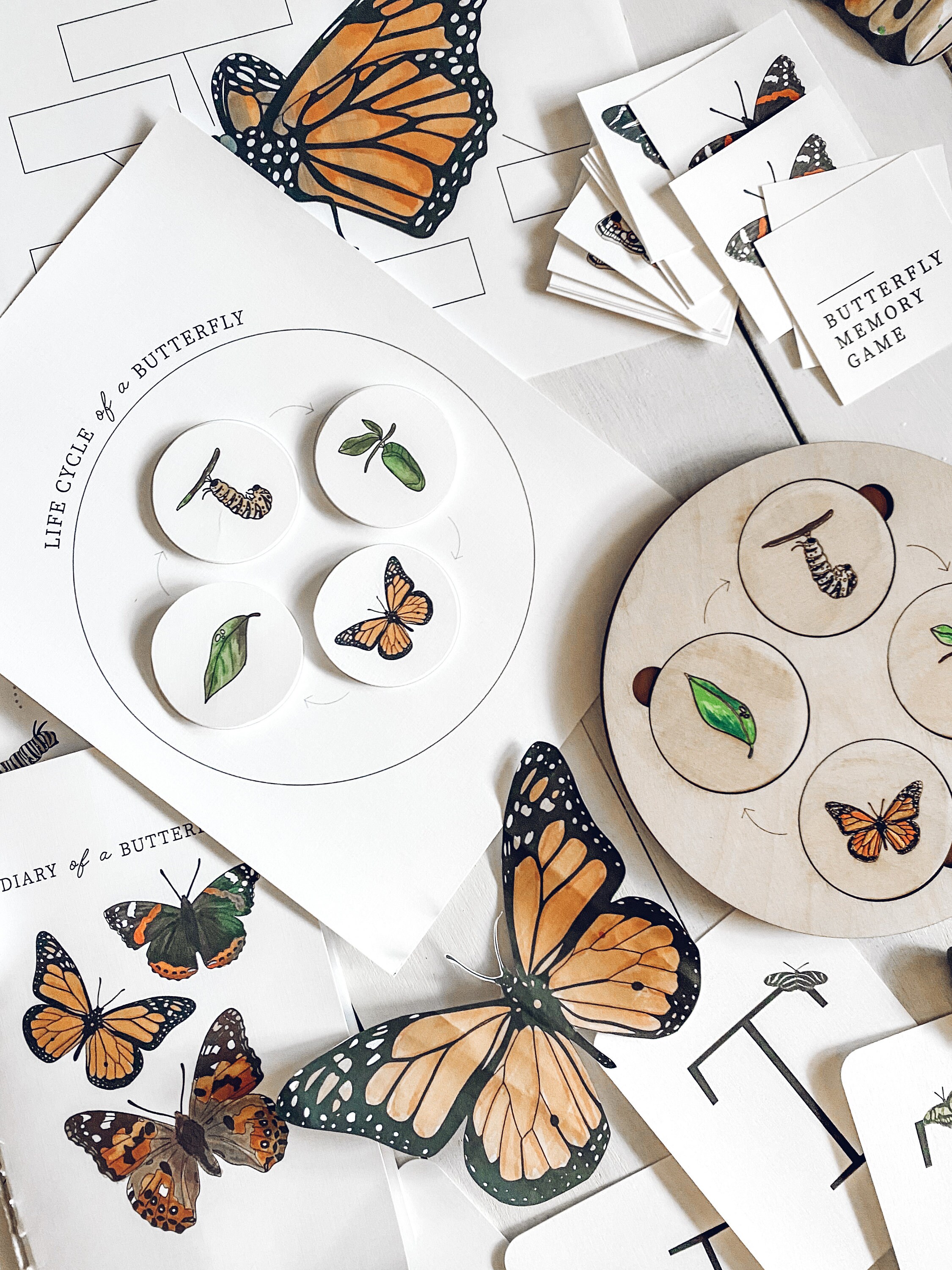 Butterfly Unit Study / Homeschool Unit Study / Kindergarten Butterfly ...