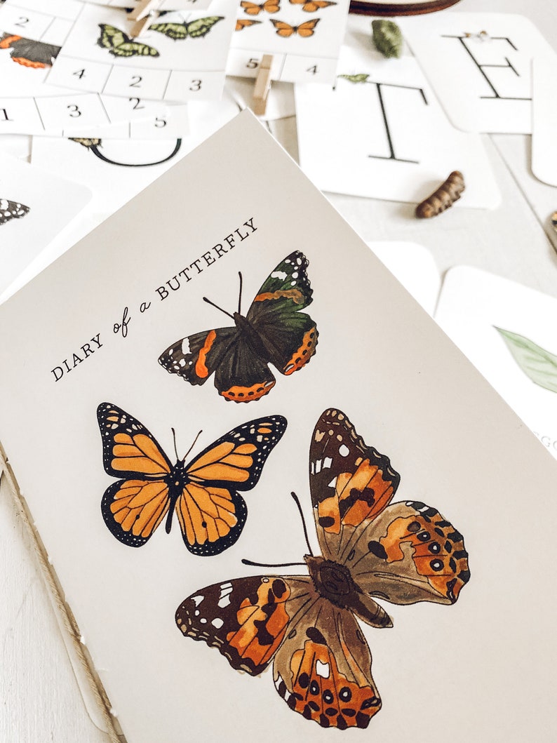 Butterfly Unit Study / Homeschool Unit Study / Kindergarten Butterfly ...