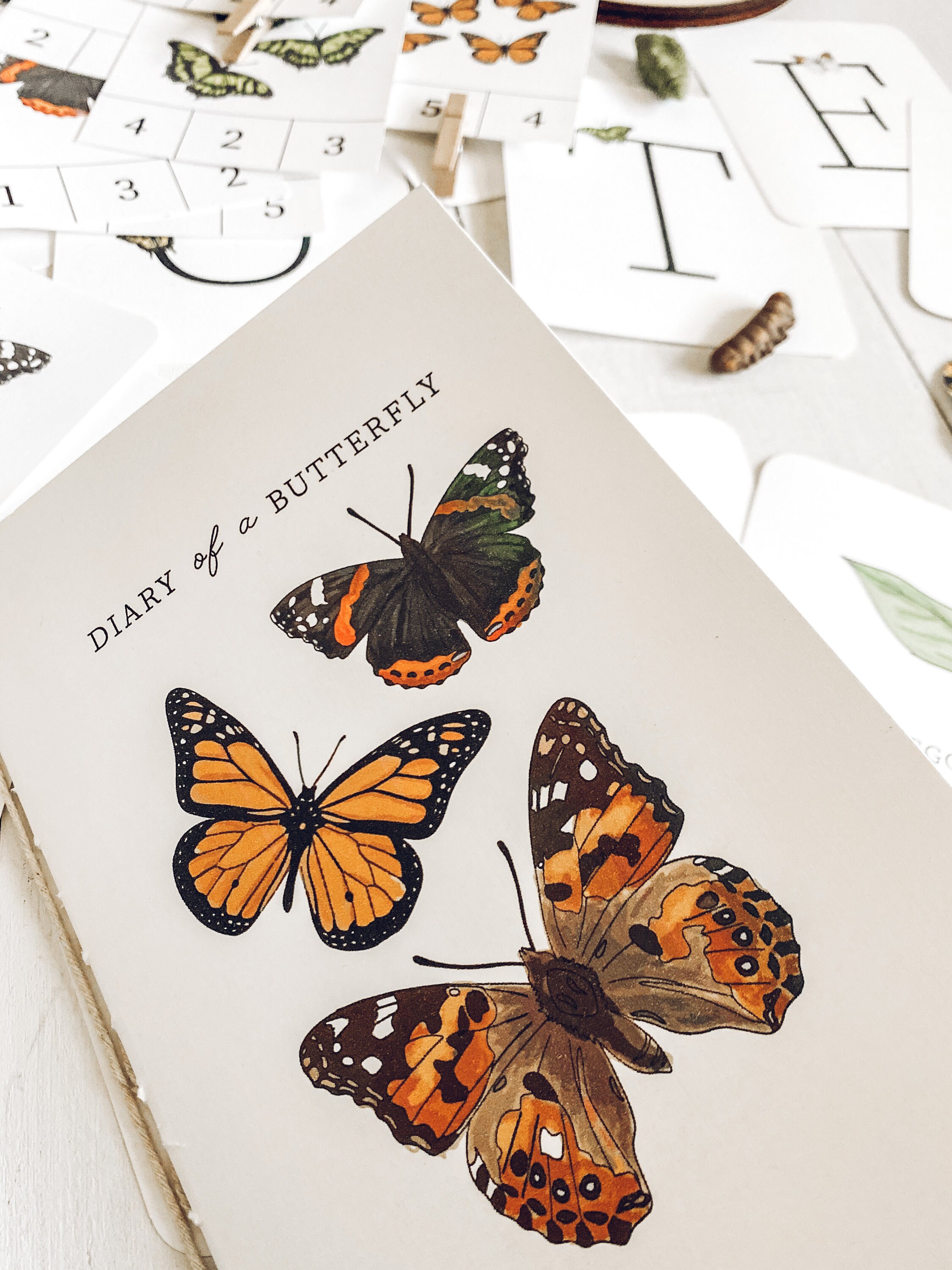 Butterfly Unit Study / Homeschool Unit Study / Kindergarten Butterfly ...