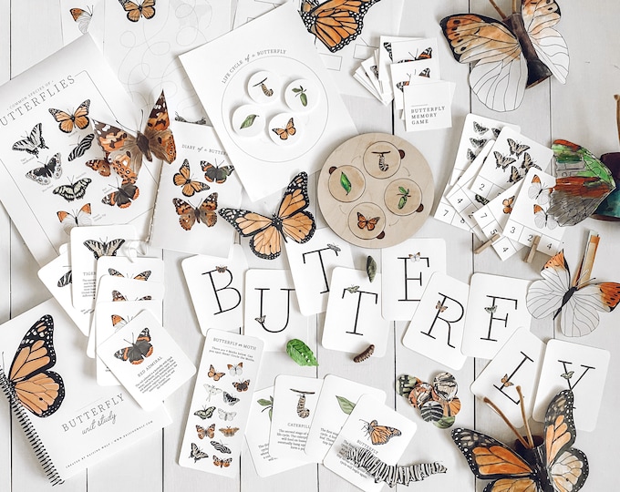 Butterfly Unit Study / Homeschool Unit Study / Kindergarten - Etsy