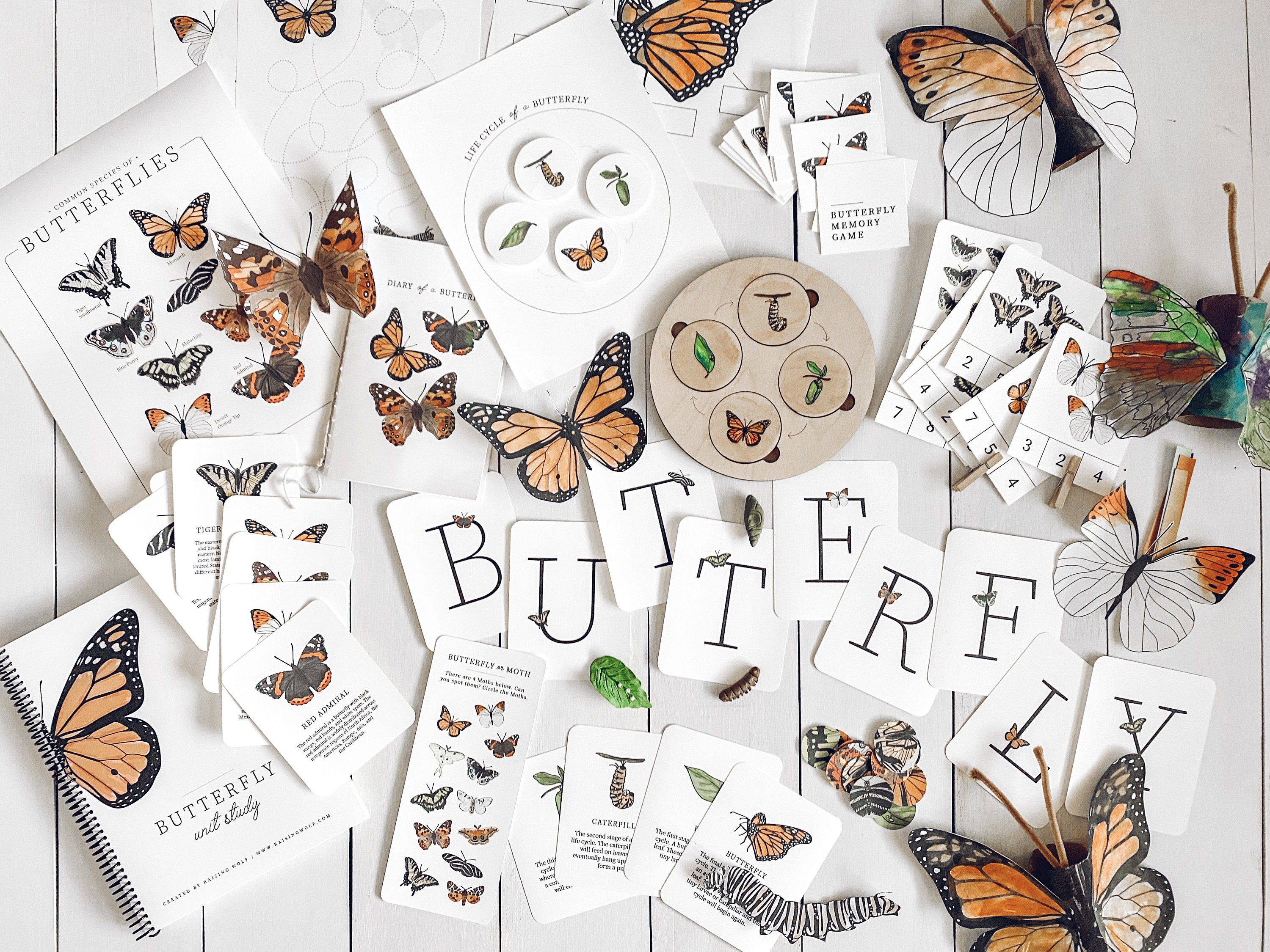 Butterfly Unit Study / Homeschool Unit Study / Kindergarten Butterfly ...