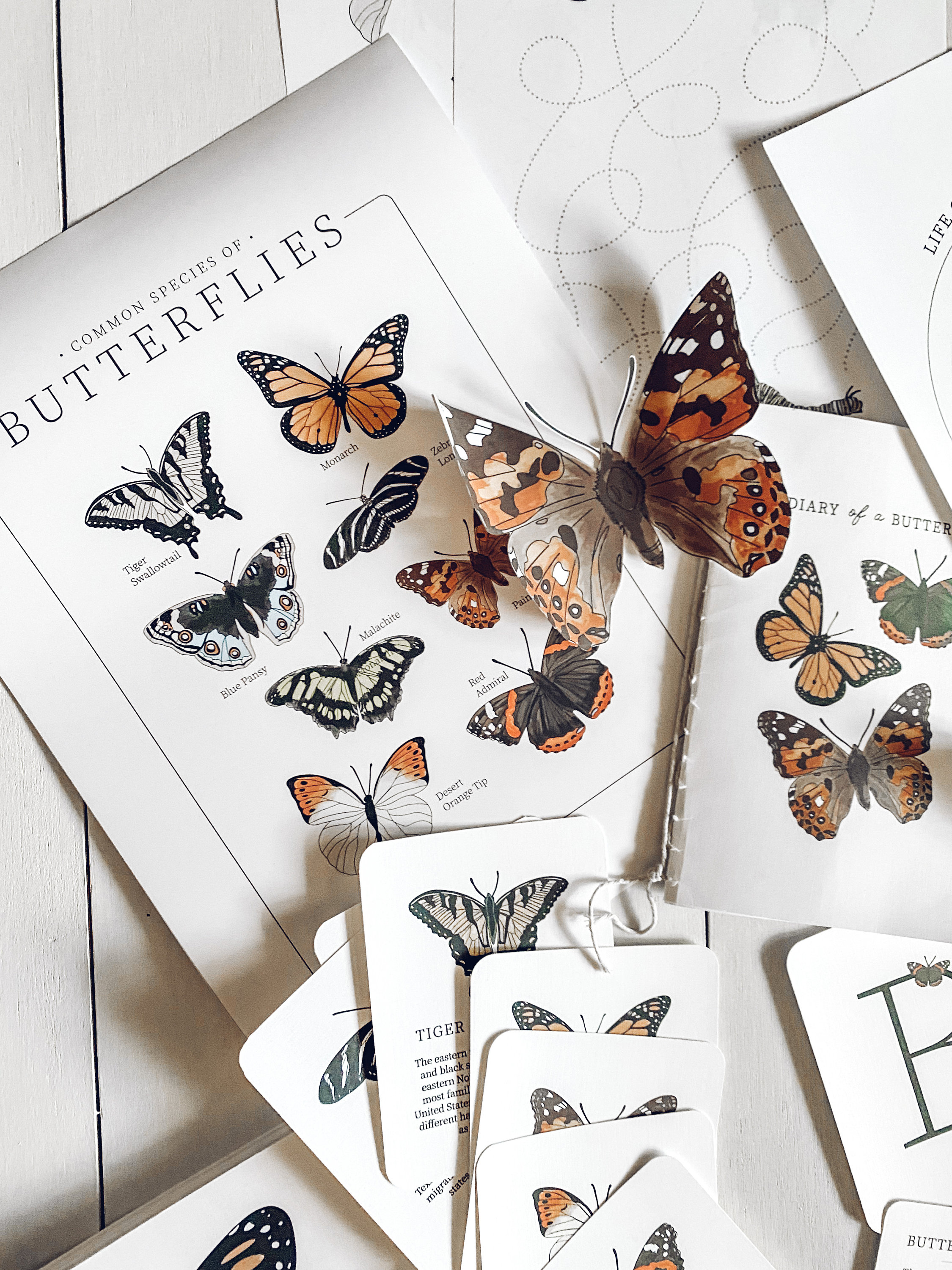 Butterfly Unit Study / Homeschool Unit Study / Kindergarten Butterfly ...