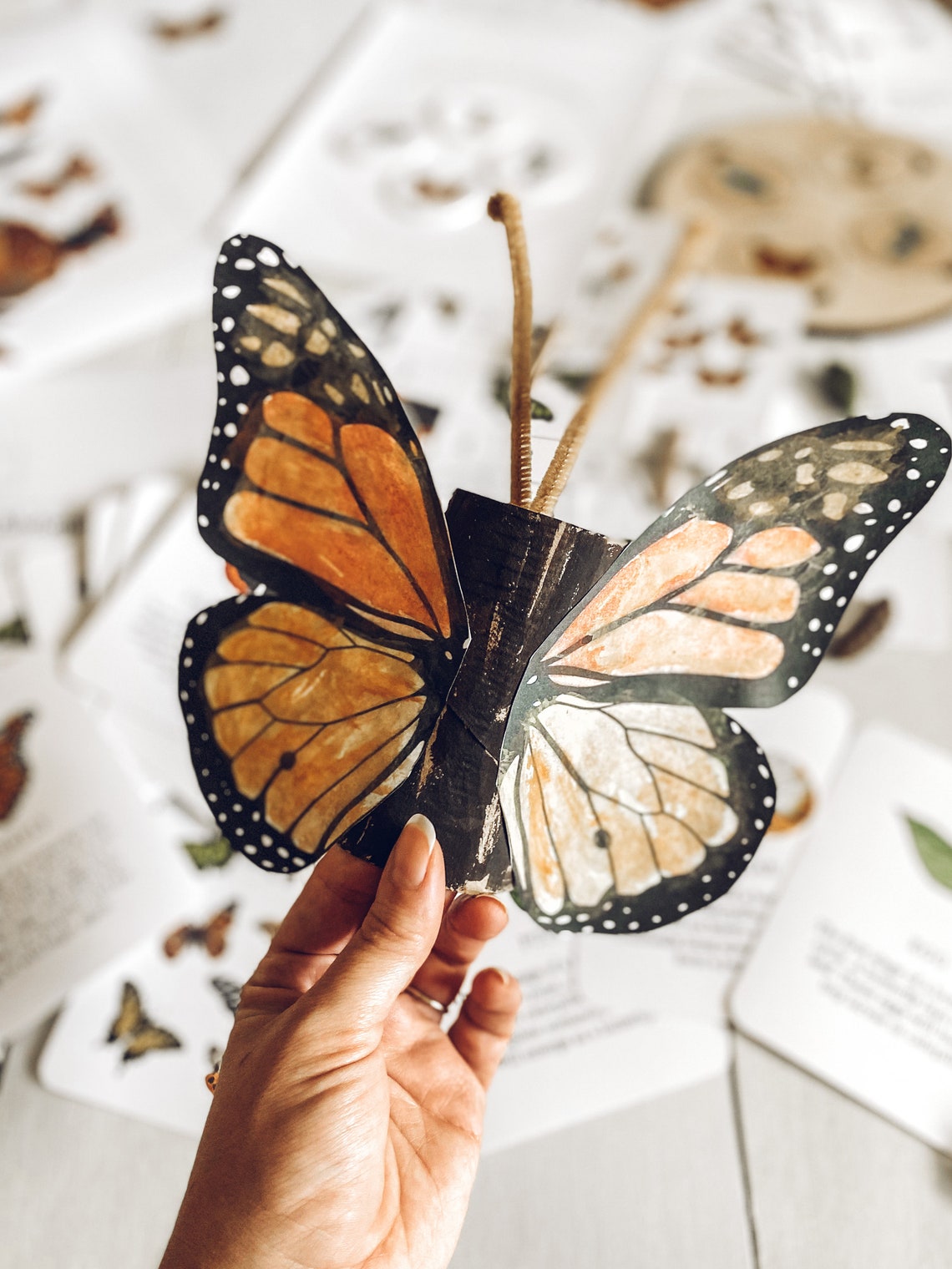 Butterfly Unit Study / Homeschool Unit Study / Kindergarten Butterfly ...