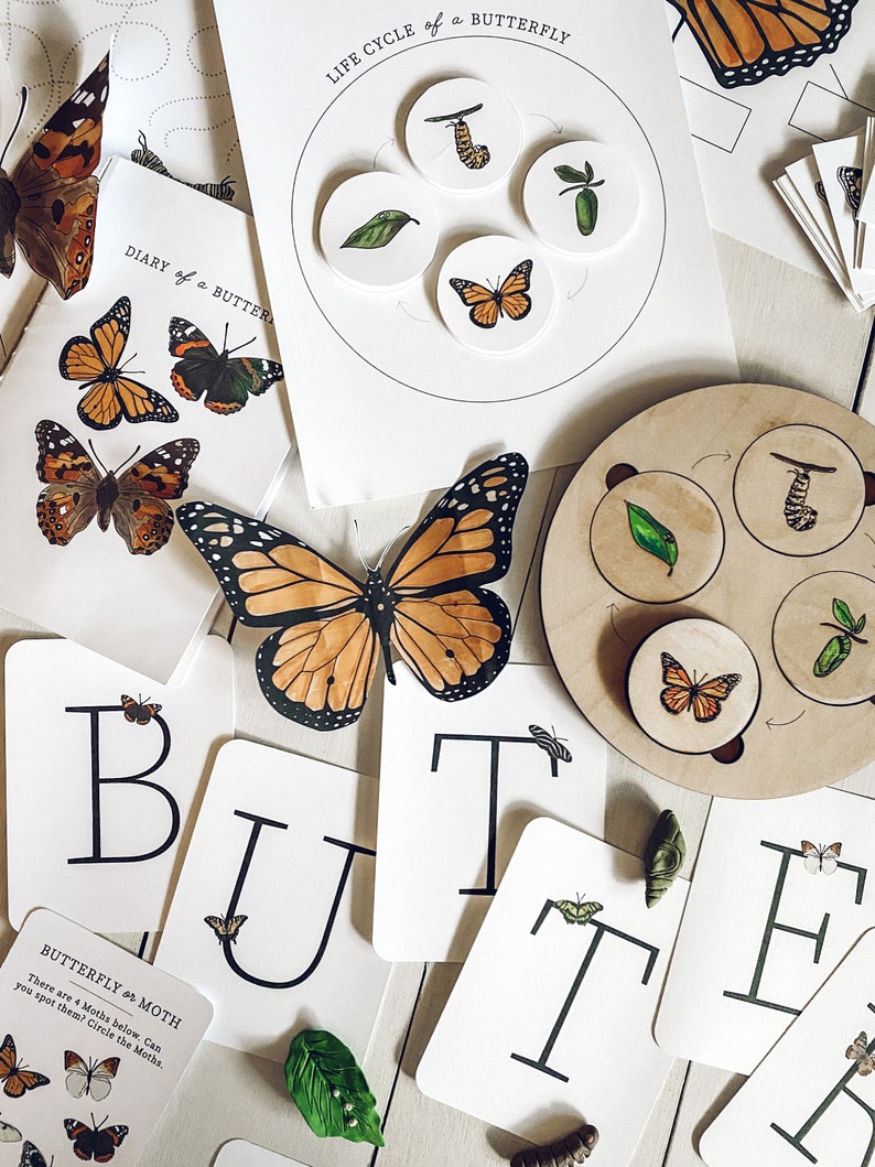 Butterfly Unit Study / Homeschool Unit Study / Kindergarten Butterfly ...