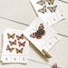 Butterfly Unit Study / Homeschool Unit Study / Kindergarten Butterfly ...