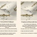 Fish Wallpaper, Rustic Lake Life Outdoors Peel and Stick Wallpaper ...
