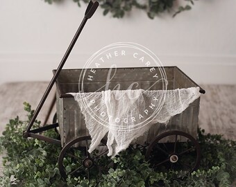 Newborn Digital Backdrop Boho Farmhouse Easter Garden Wagon | Etsy