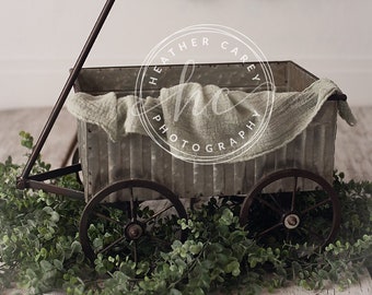 Newborn Digital Backdrop Boho Farmhouse Easter Garden Wagon | Etsy