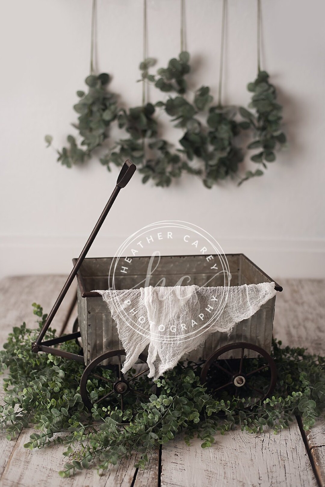 Newborn Digital Backdrop Garden Wagon - Etsy