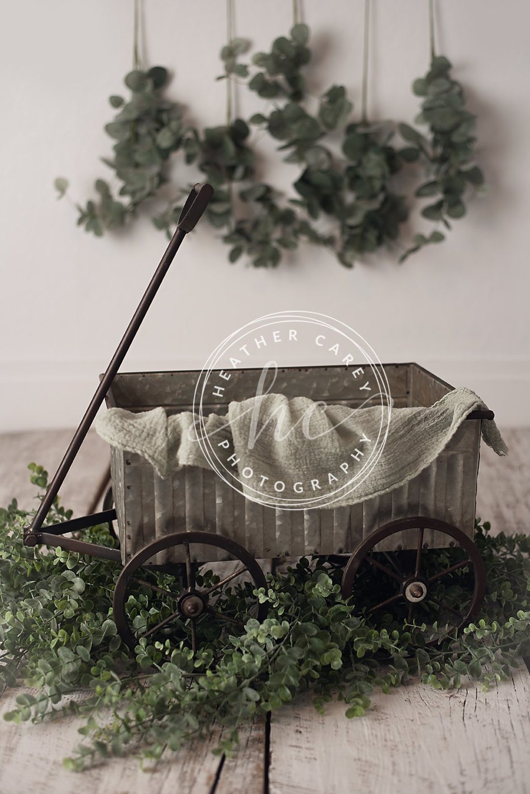 Newborn Digital Backdrop Garden Wagon - Etsy