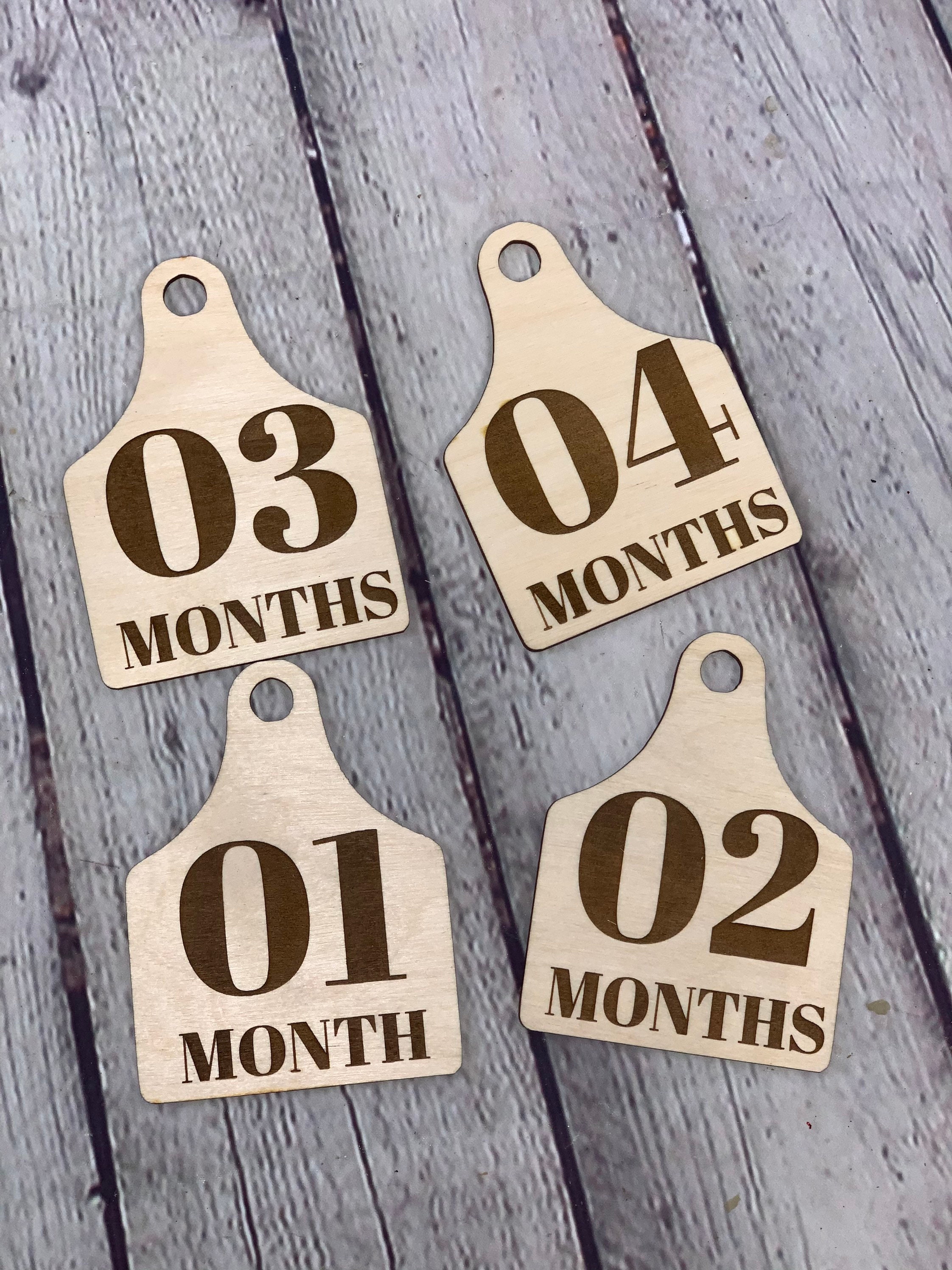 Farm Animal Tag Monthly Milestone Photo Discs I Engraved Monthly ...