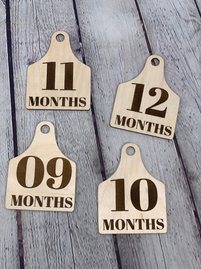 Farm Animal Tag Monthly Milestone Photo Discs I Engraved Monthly ...