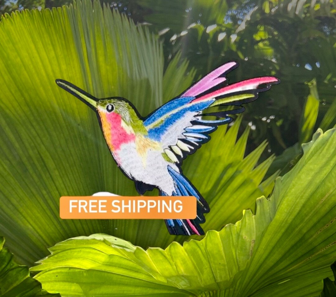 Large Hummingbird Iron on Patch 3x4 Inches - Etsy