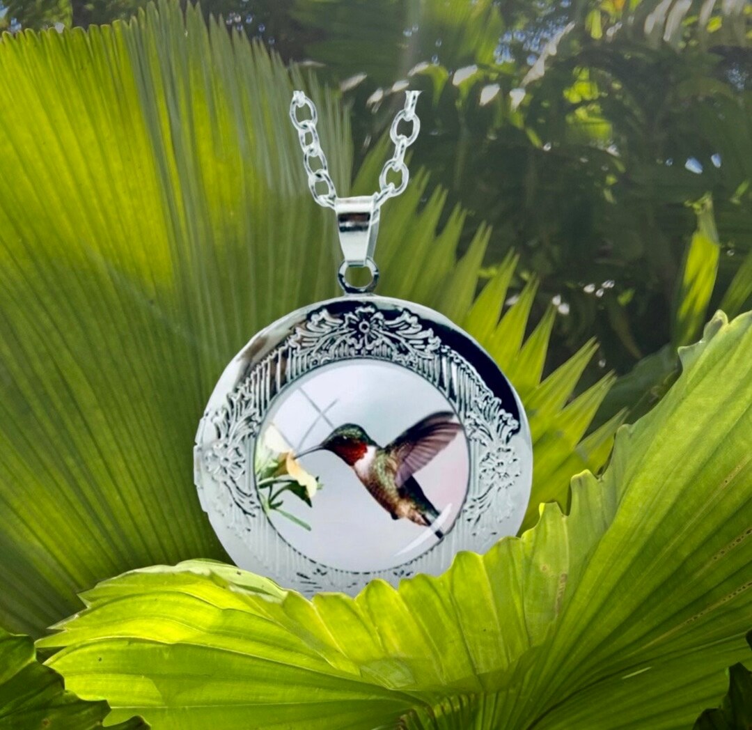 Hummingbird Locket, Hummingbird Necklace - Etsy