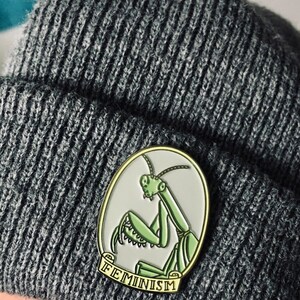 Praying Mantis Pin/feminism - Etsy